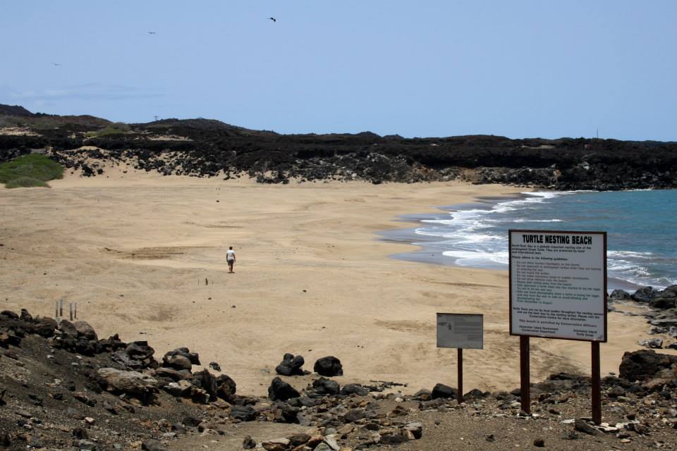 Ascension Island – Dr. Daniel M Moore